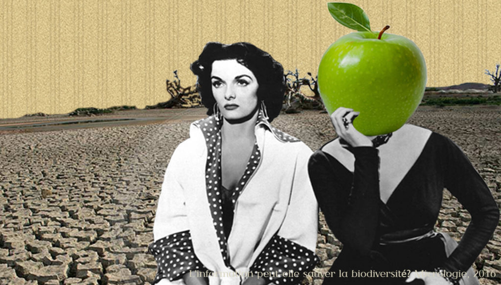 un panda d'eau douce pour sensibiliser à la conservation des rivières ...