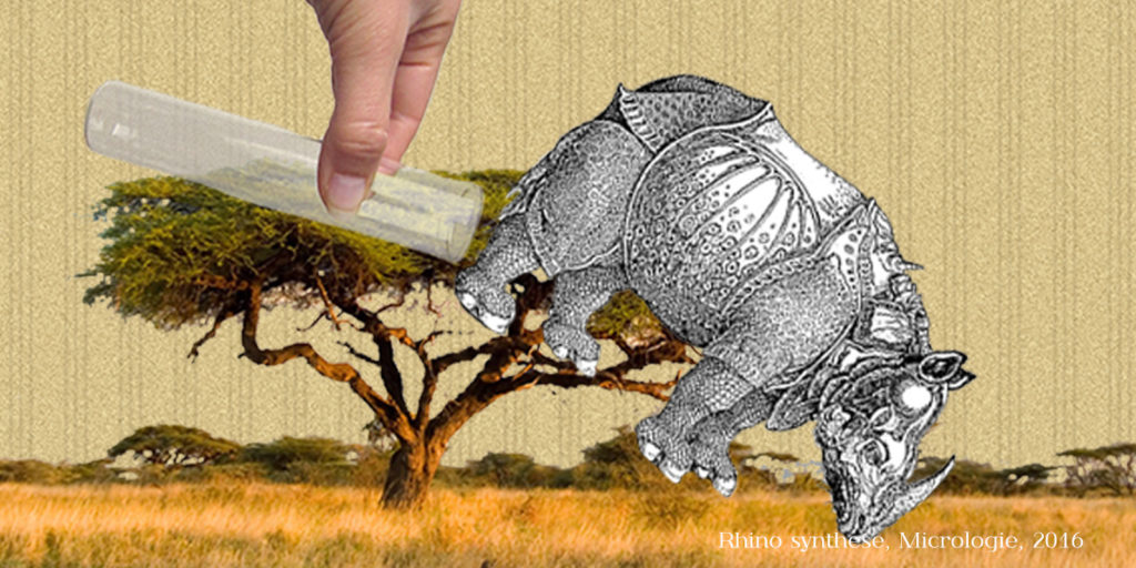 L’information peut-elle sauver la biodiversité ? - Micrologie