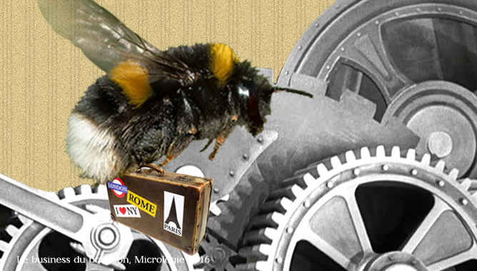 business-du-bourdon-micrologie-2016 - Micrologie