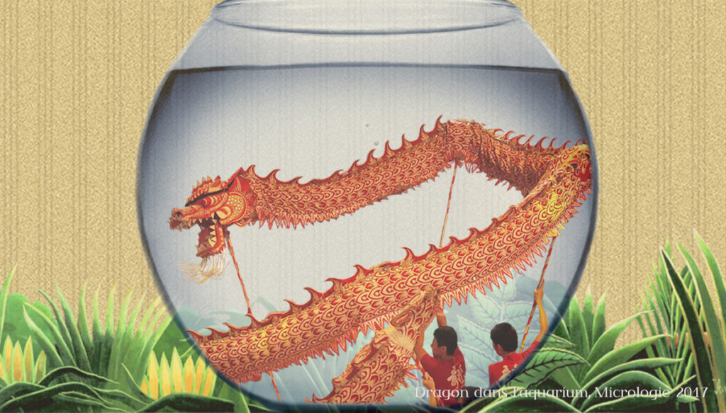 Rhino de synthèse ! - Micrologie