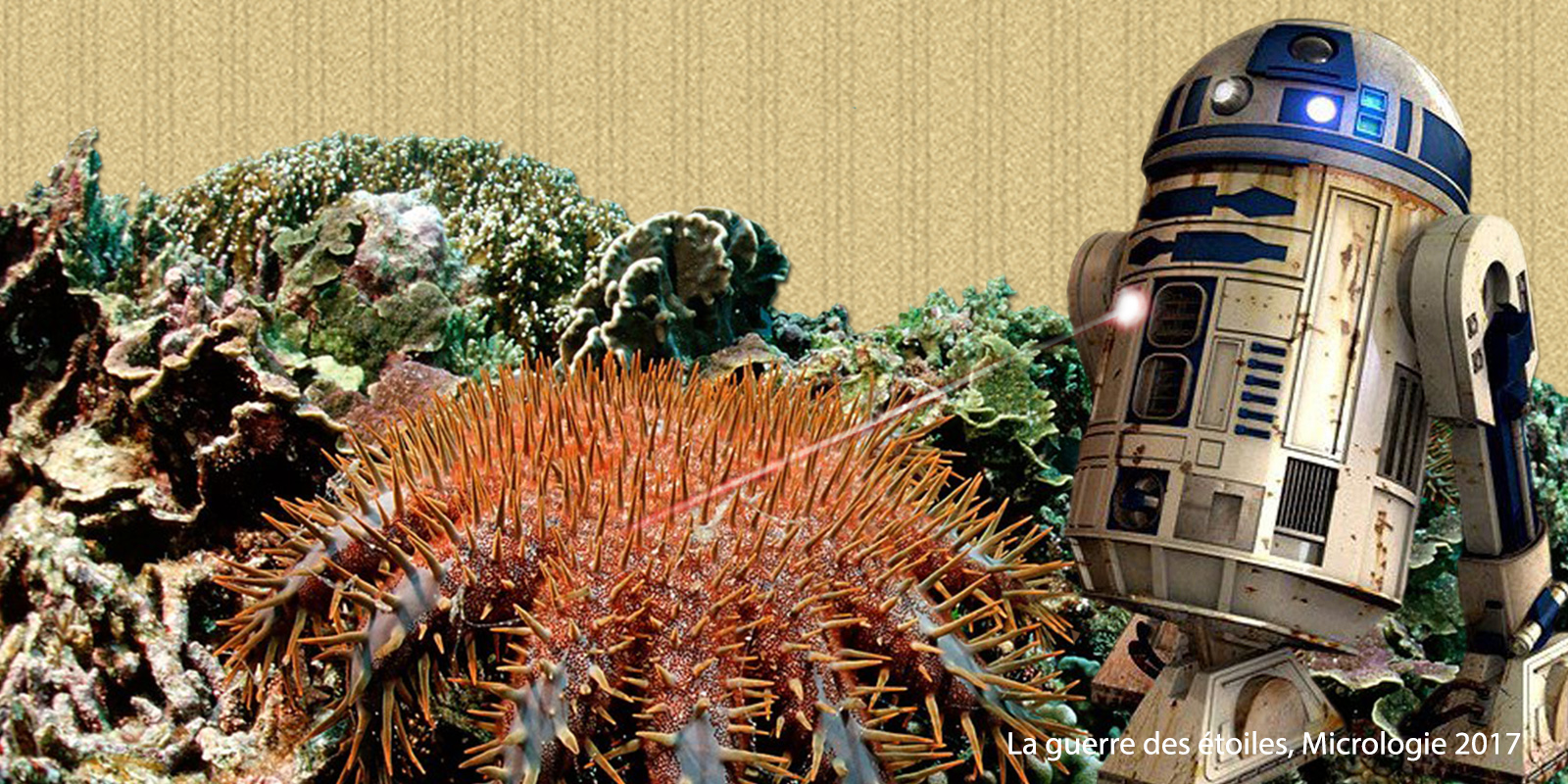 L’information peut-elle sauver la biodiversité ? - Micrologie