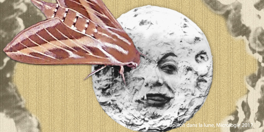 Pollution des abysses - Micrologie