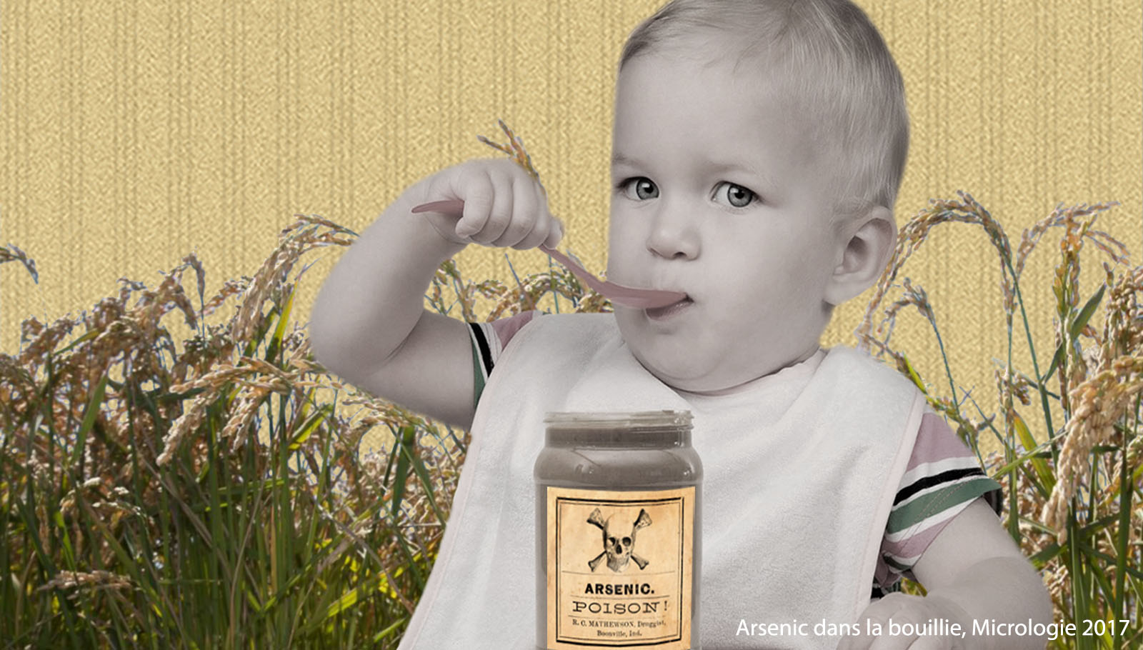 un panda d'eau douce pour sensibiliser à la conservation des rivières ...