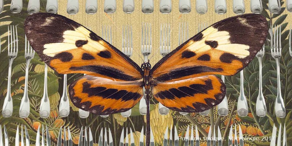 les babouins sont capables de prononcer 5 vocalisations voyelles ...