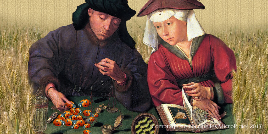 Rhino de synthèse ! - Micrologie