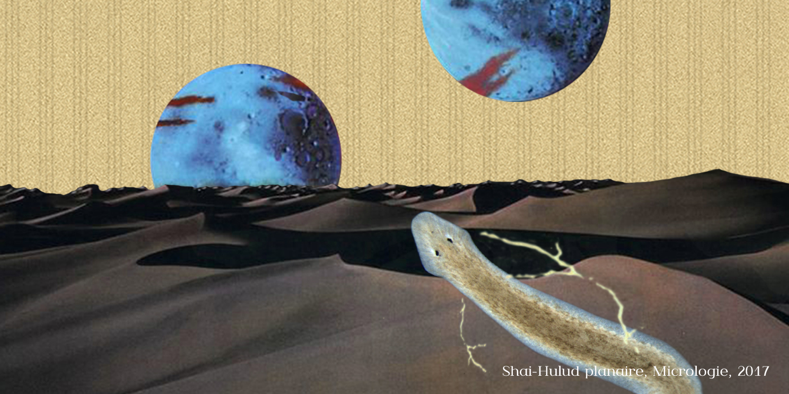 L’énigme du ver à deux têtes - Micrologie