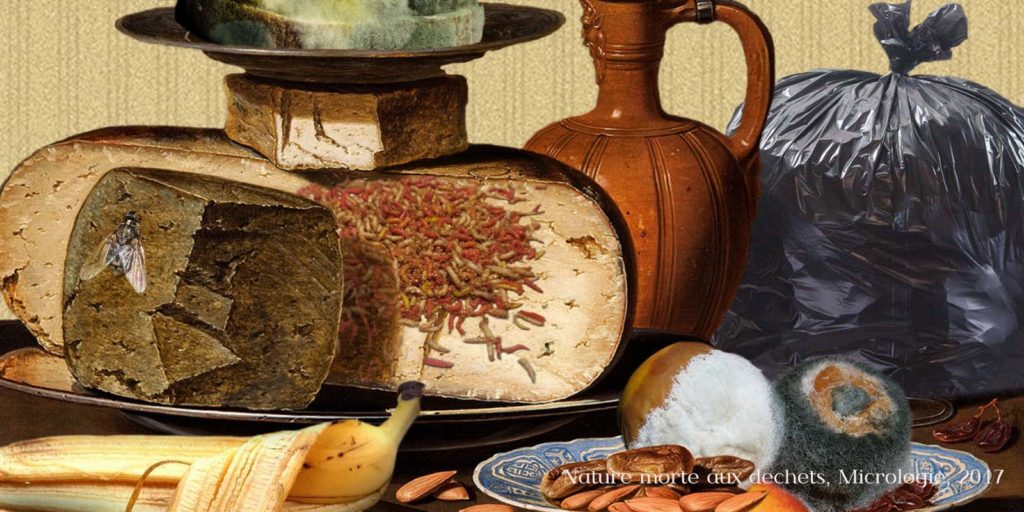 Tout un fromage ! - Micrologie