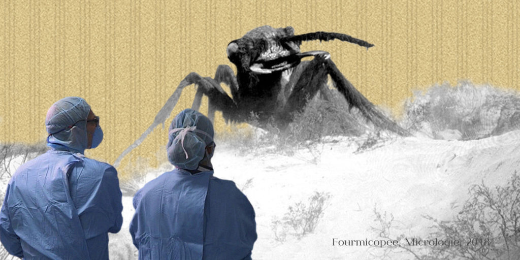 Blob et confidences - Micrologie