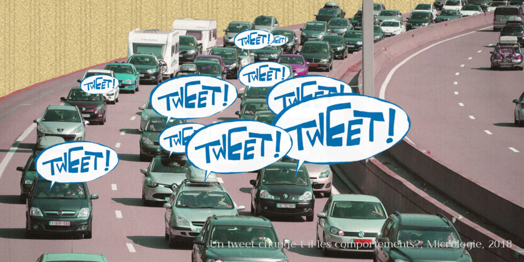 Addition salée pour les grenouilles - Micrologie